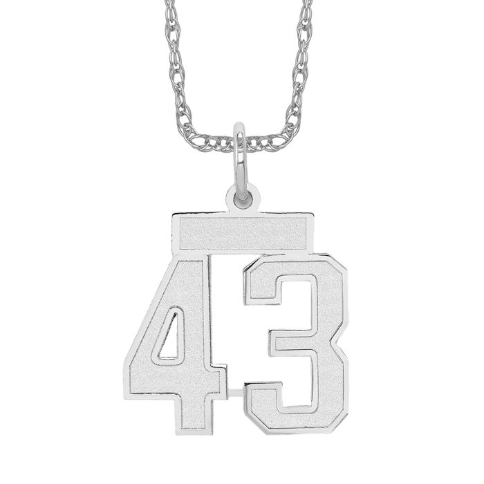 14K Solid White Gold Number 43 Necklace | eBay